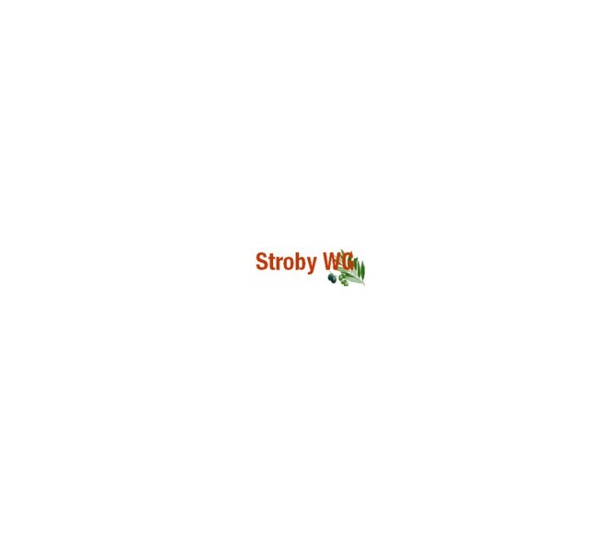 Sroby