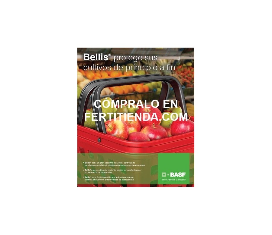 Bellis BASF
